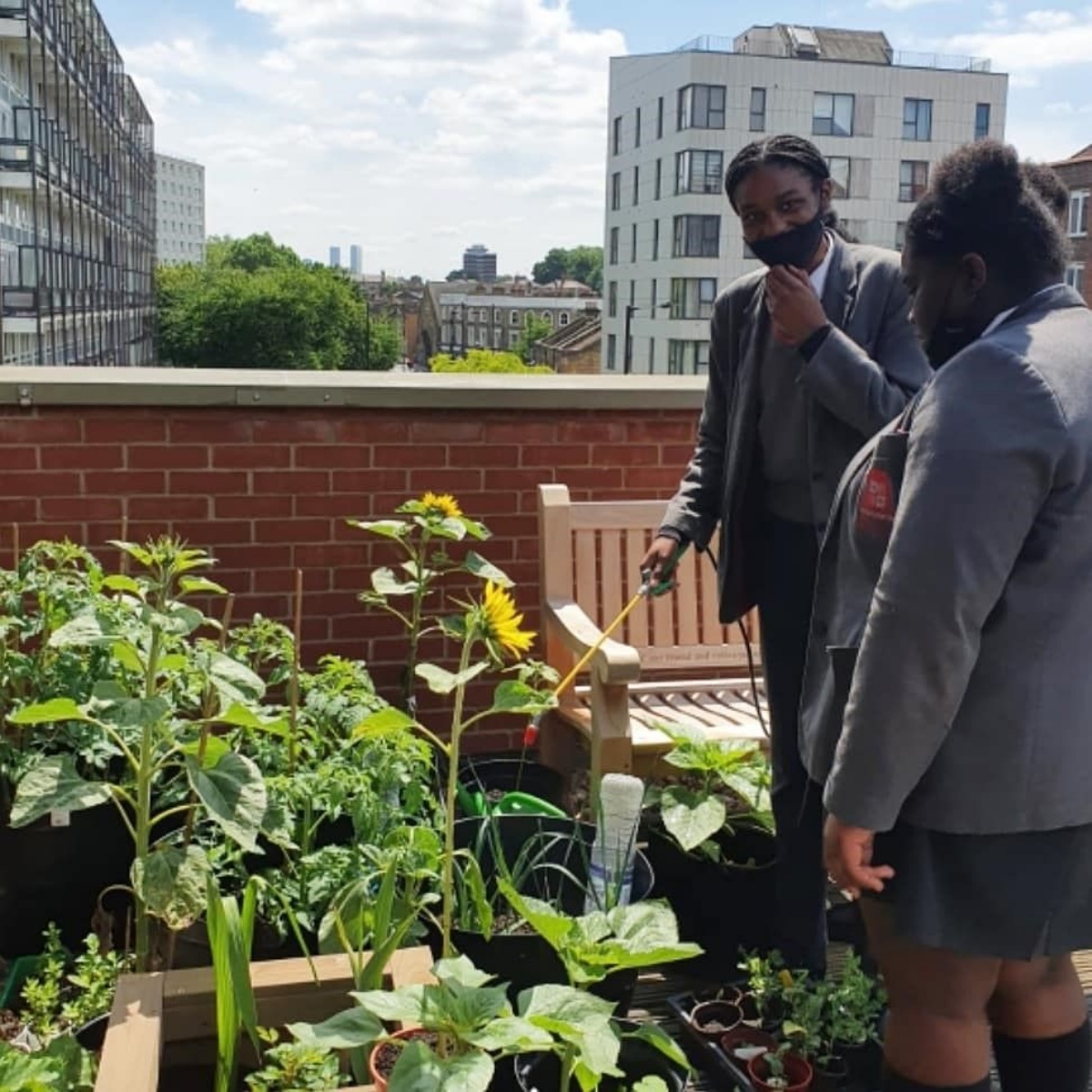 Cardinal Pole Catholic School - Year 10 Gardening Club